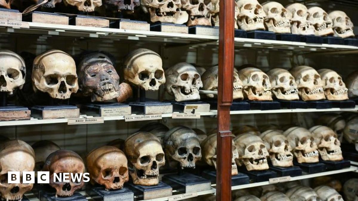Tribal warrior skulls repatriated to Taiwan by University of Edinburgh ...