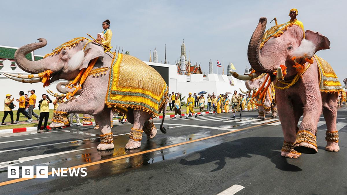 Lion hides, sacred seats and coronation rites from around the world ...
