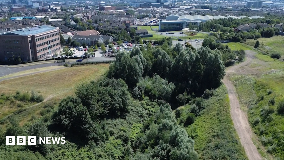 West Belfast: Proposal for 900 new houses at former Mackies site - BBC News