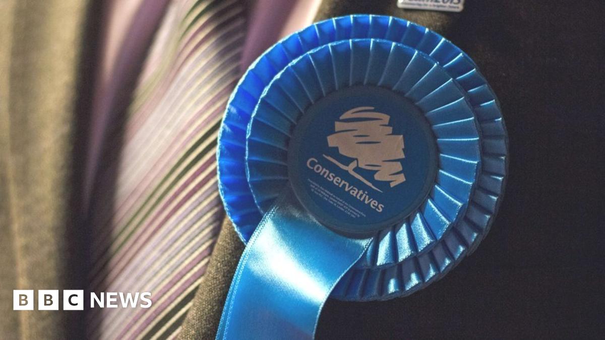 Review of Welsh Tories as Senedd poll approaches - BBC News