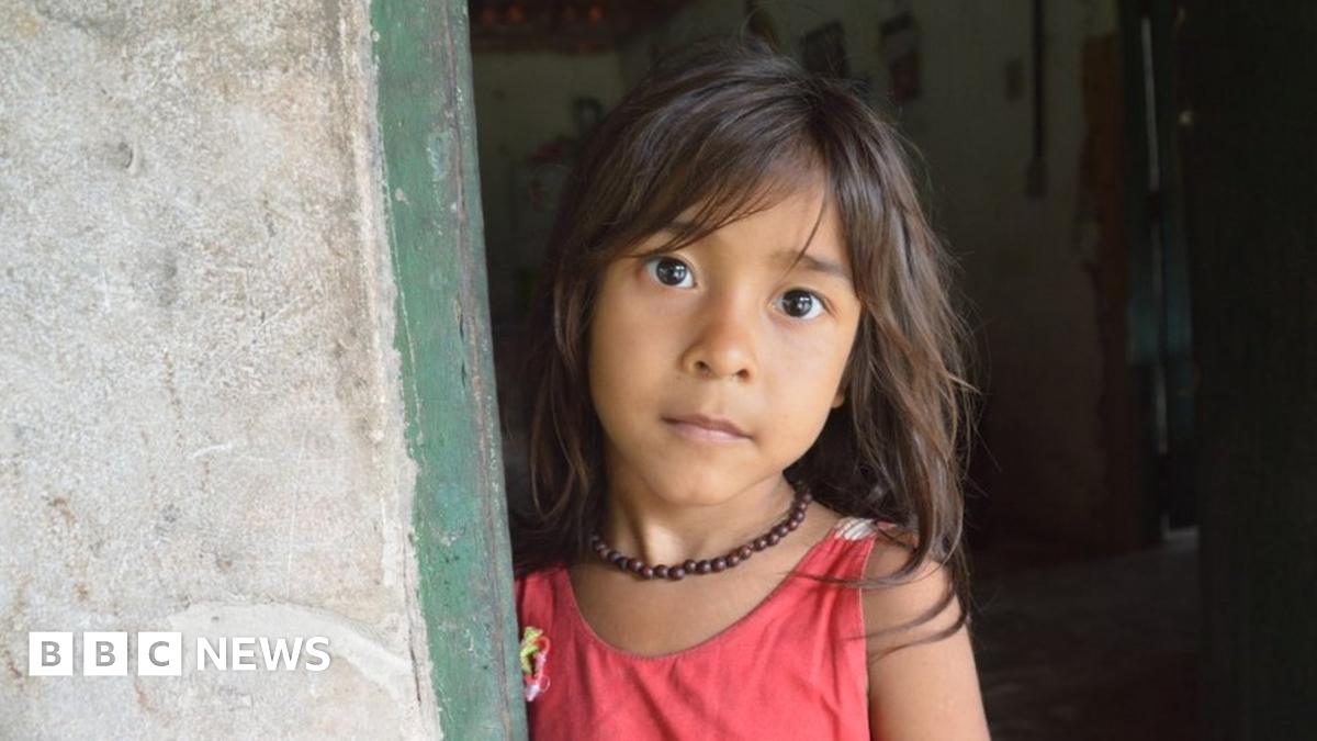 They are killing our forest, Brazilian tribe warns - BBC News