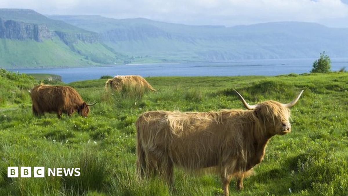 Life on the 82 other Great British islands - BBC News