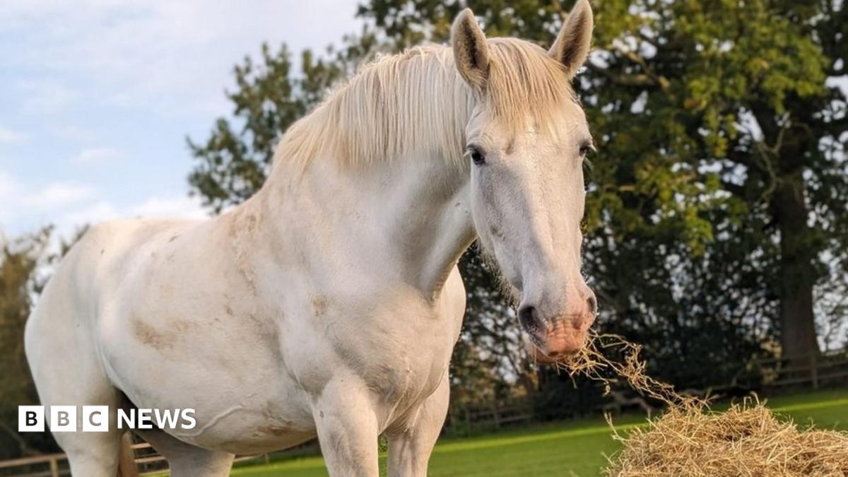 Berkshire weekly round-up: 3 February - 9 February 2024 - BBC News