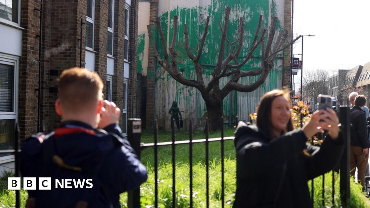 Banksy: Artist confirms new London tree mural is his own work - BBC News