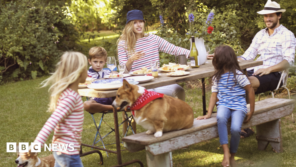Retailer Joules's 'fun' brand delivers strong sales - BBC News