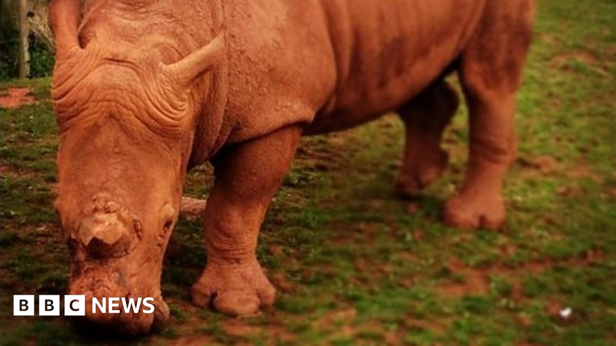 South Lakes Safari Zoo: Report shows hundreds of animal deaths - BBC News