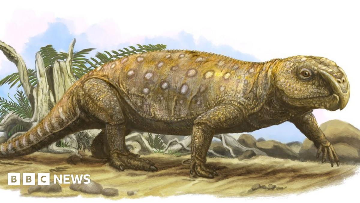 Devon fossils show reptile may have starved to death, researchers say ...