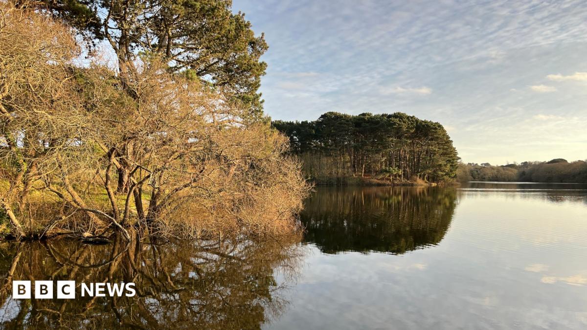 Guernsey reservoir nature trail reopens after storm damage - BBC News