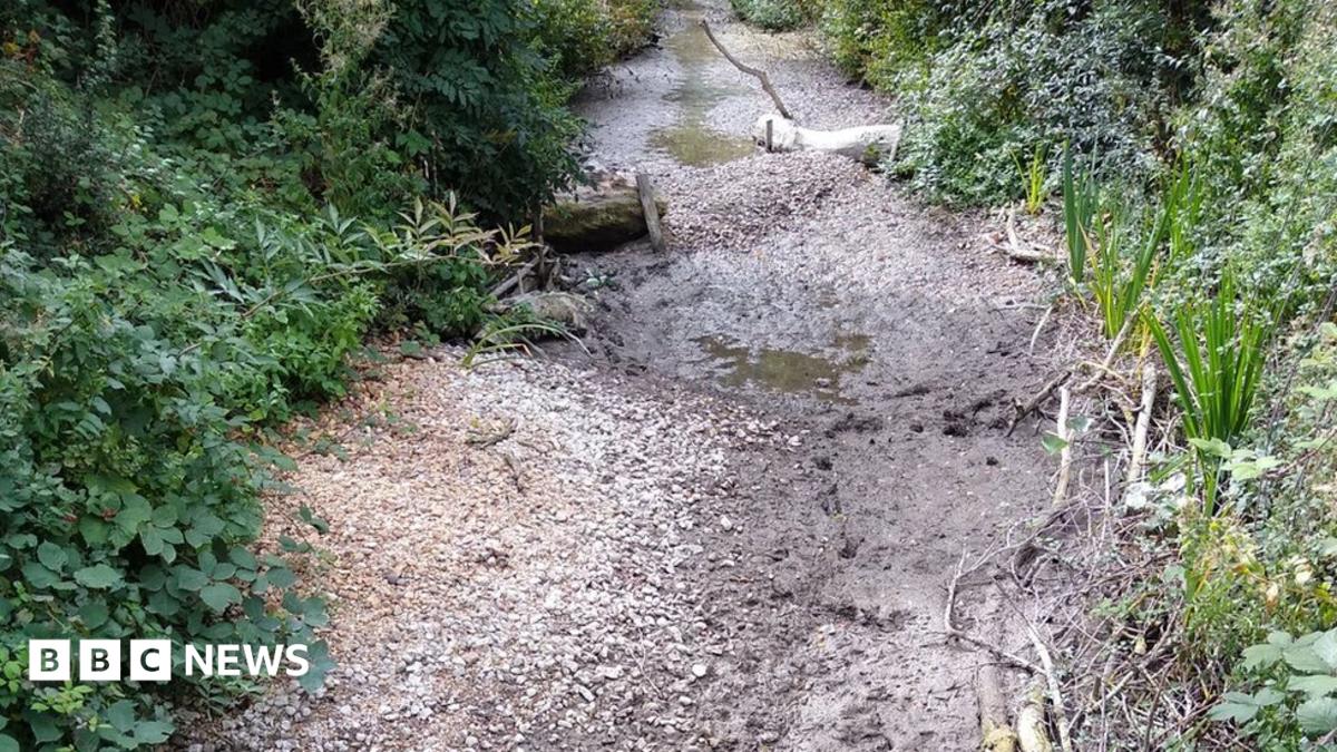 Water demand and weather blamed for dried-up Cambridge brook - BBC News