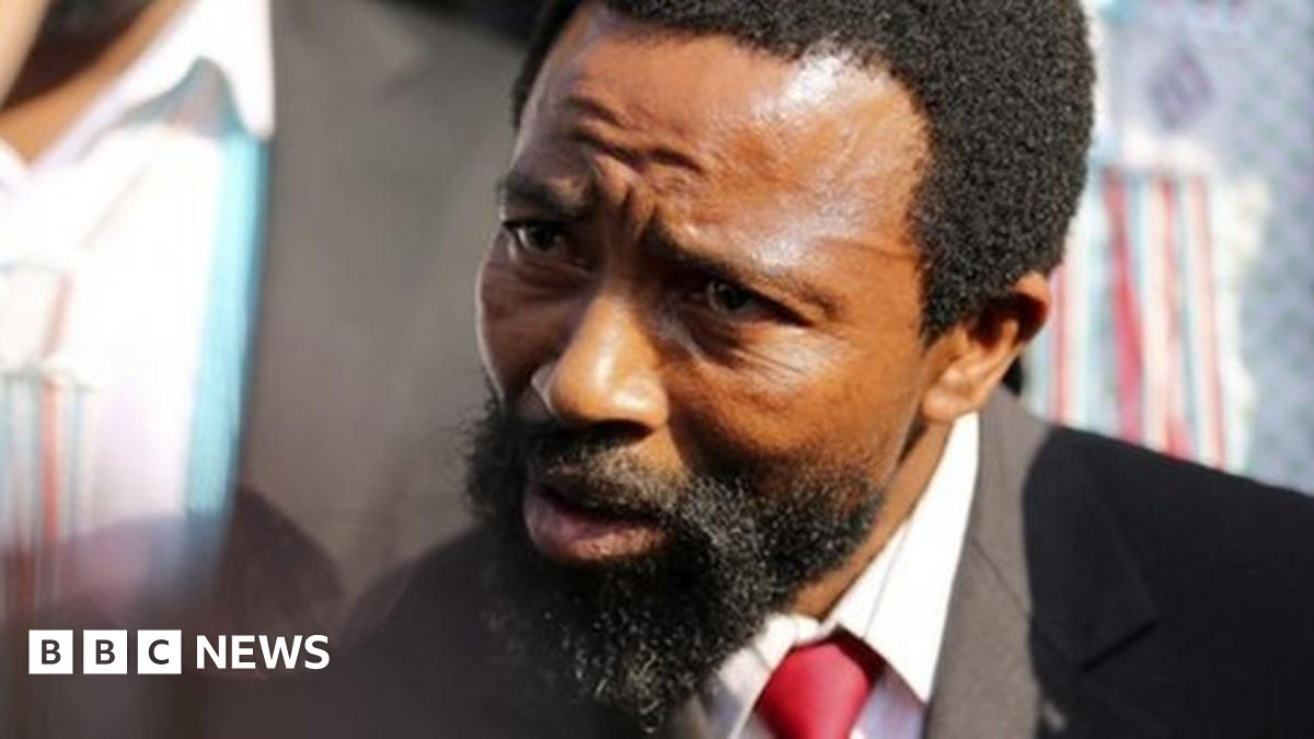 SA's Thembu King Dalindyebo jailed for 12 years - BBC News