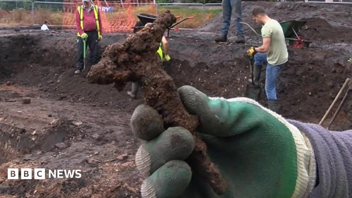 Carlisle Roman bath house archaeological dig begins - BBC News