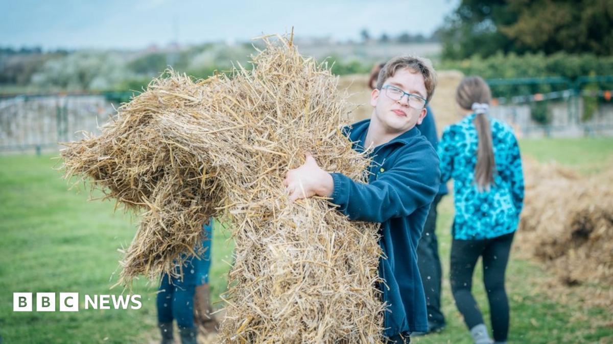 Special educational needs college to teach at heritage site - BBC News