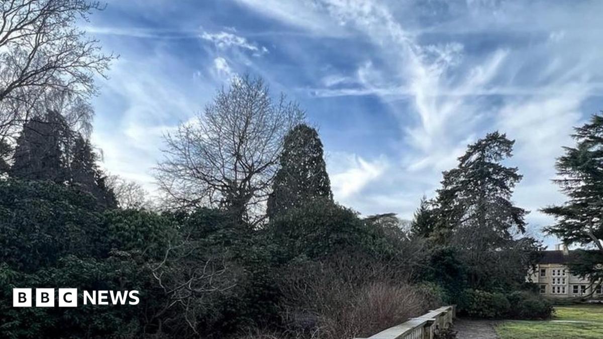 England's Big Picture: 9 January - 15 January 2023 - BBC News