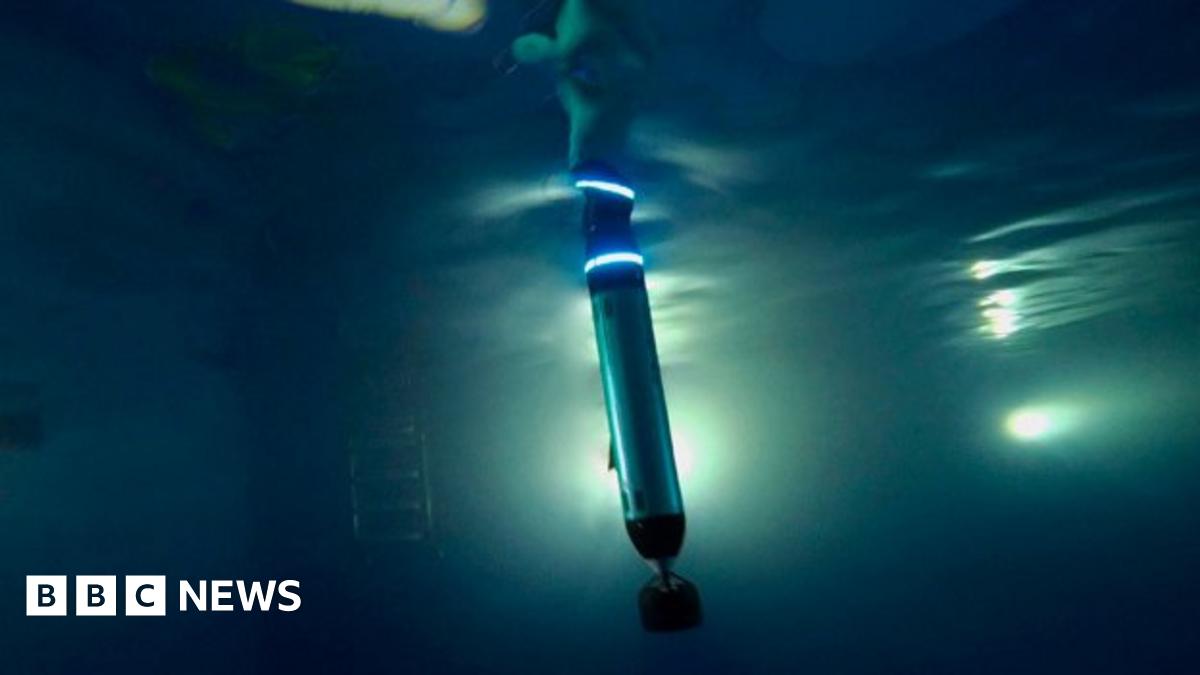 Robot swarms to map the seafloor - BBC News