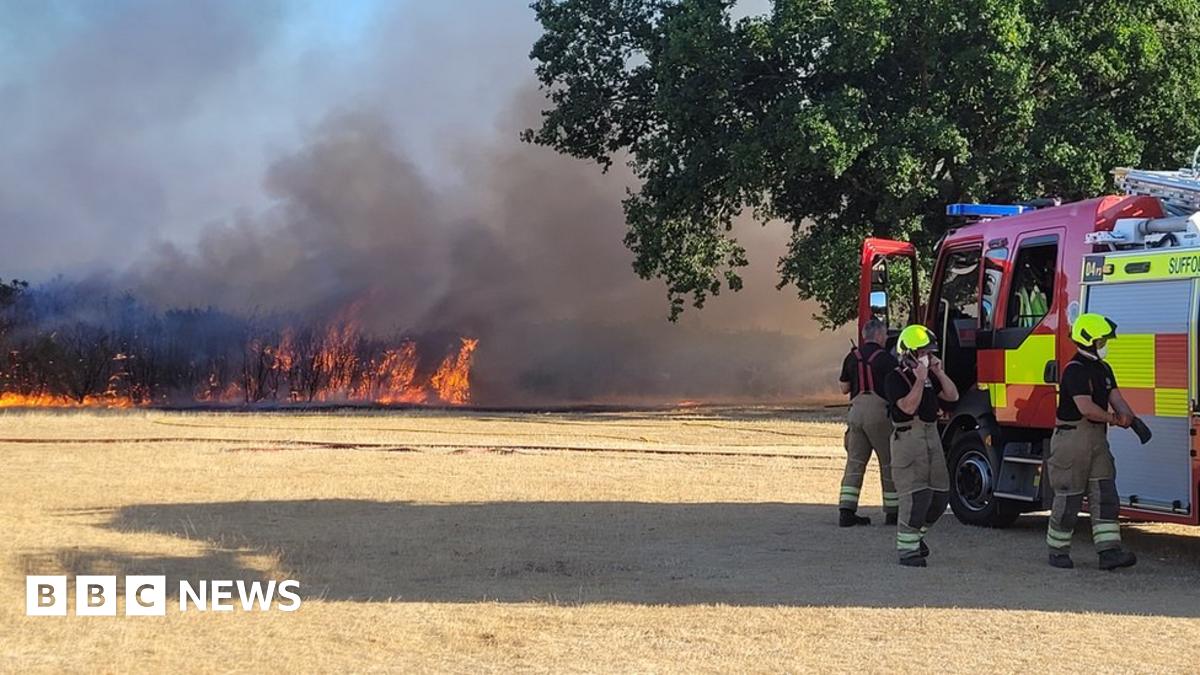 Rushmere Heath: Firefighters tackle gorse blaze - BBC News