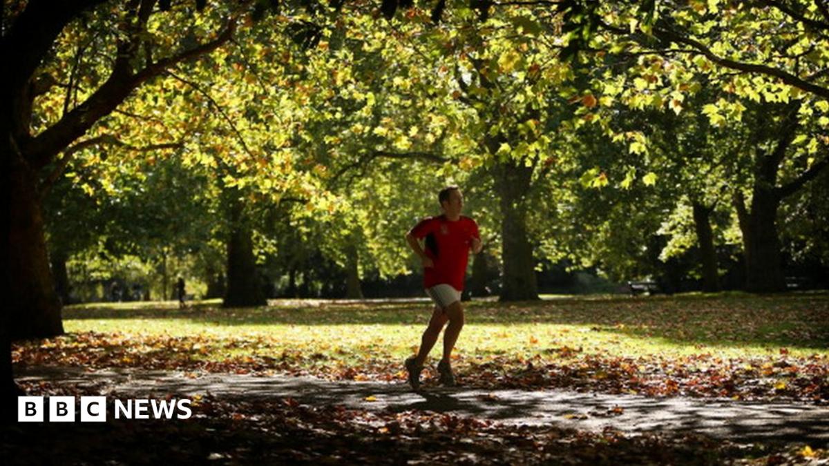 Q&A: How did Parkrun become a global phenomenon? - BBC News