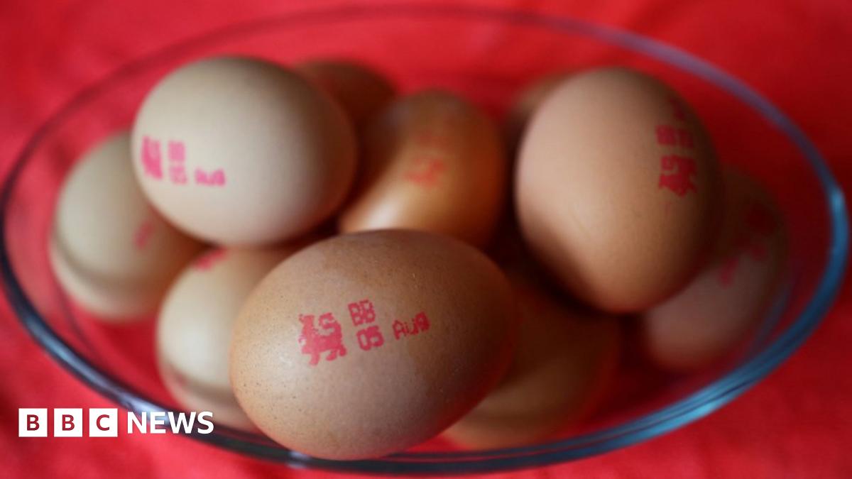 Egg shortages: What's causing the problem and how long will it last ...