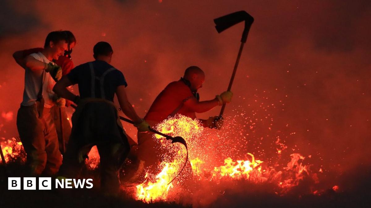 Climate change: IPCC report is 'code red for humanity' - BBC News