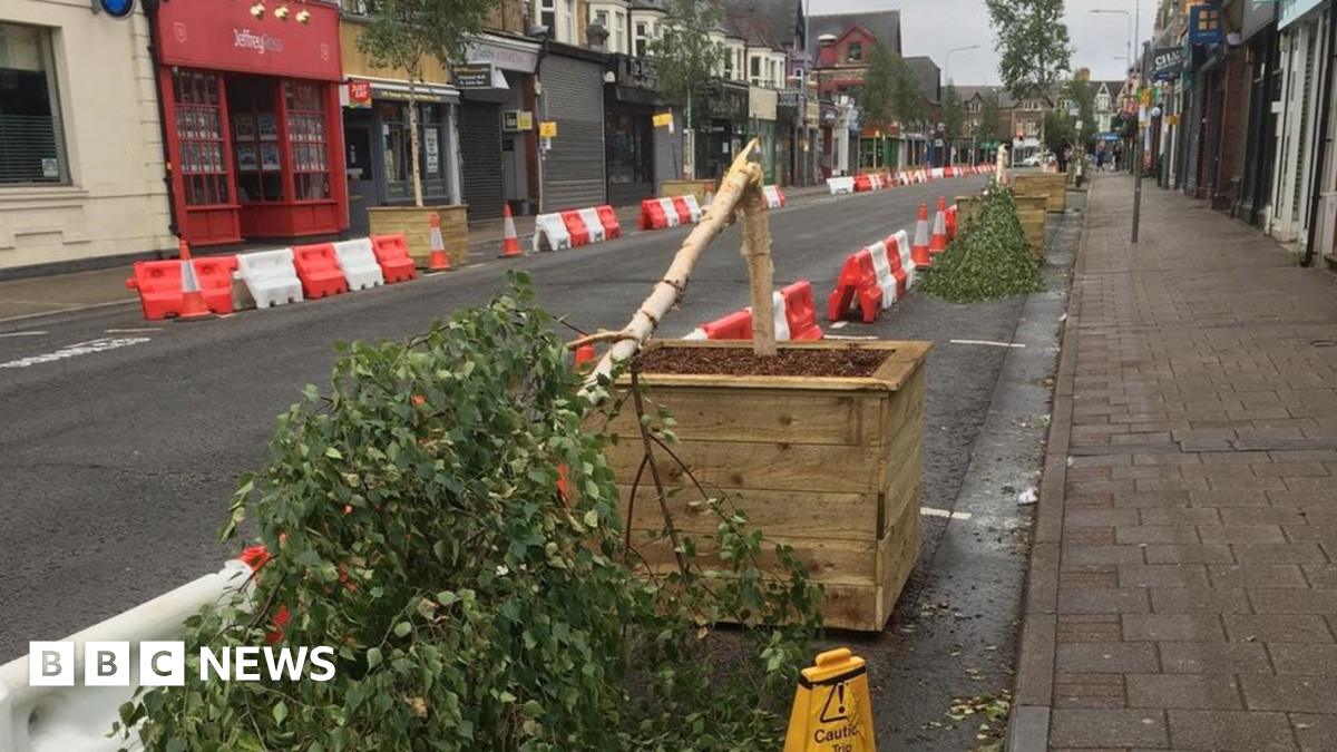 Cardiff trees planted to aid social-distancing vandalised - BBC News