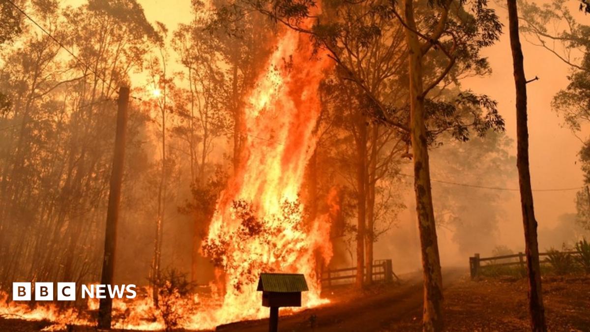 Australia bushfires north of Sydney 'too big to put out' - BBC News