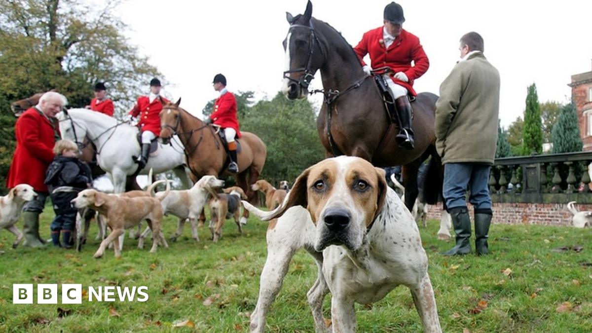 Police say Scottish fox hunting law 'unworkable' - BBC News