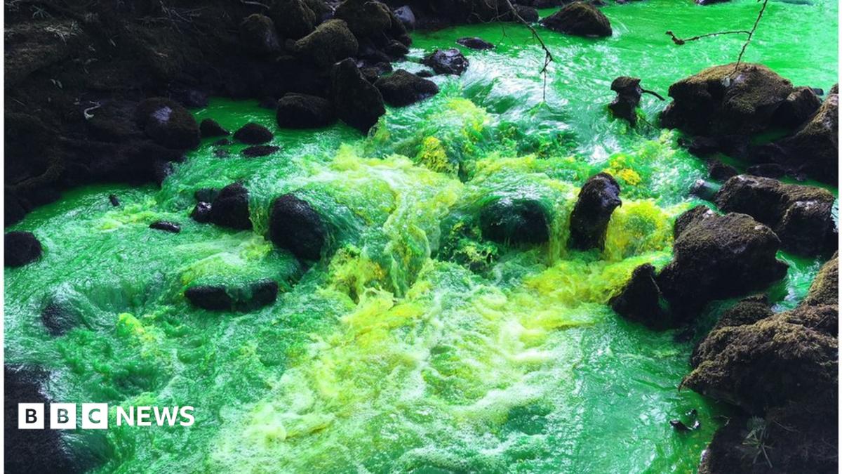 Marble Arch Caves: the science behind the tracing of water - BBC News
