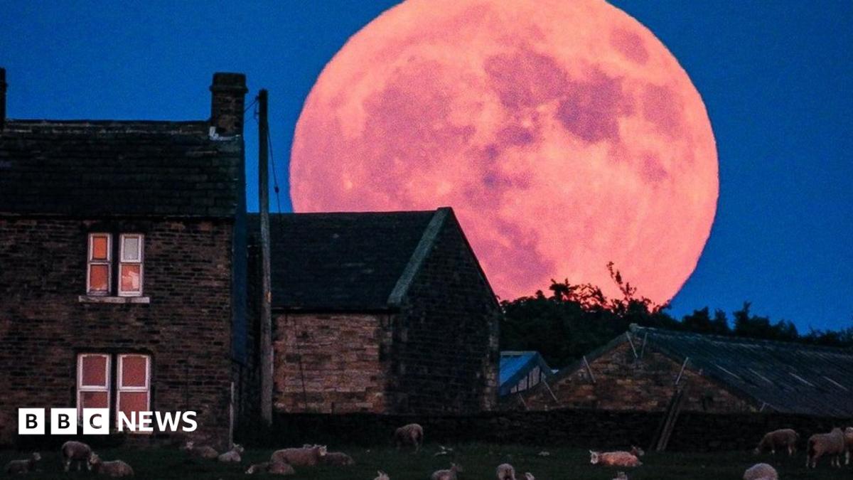 Strawberry Moon captured over England - BBC News