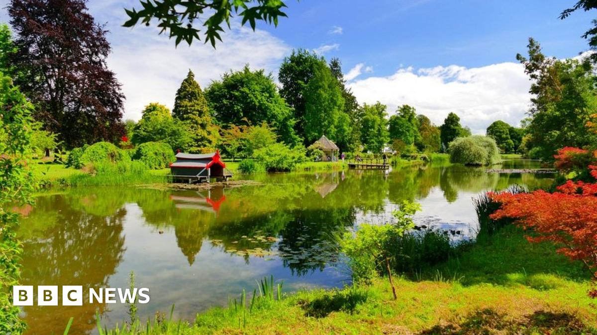 England's Big Picture: 17 - 23 June - BBC News