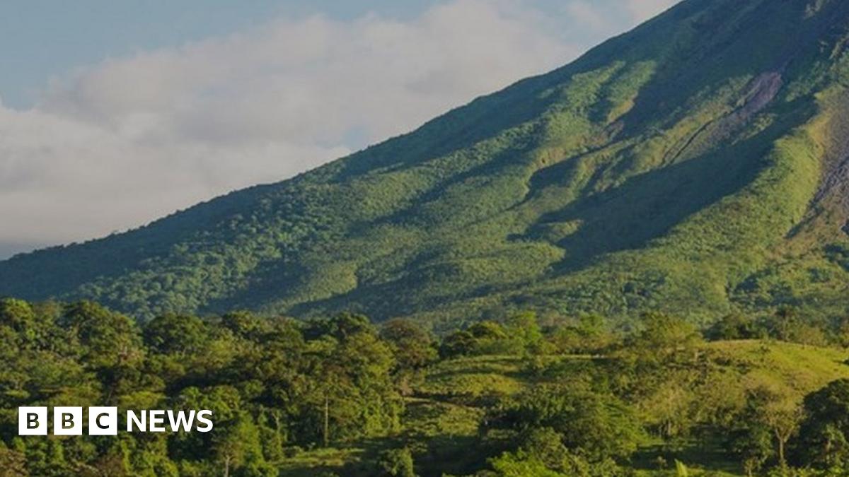 Ethical Forestry: Men charged with fraud over tree investments - BBC News