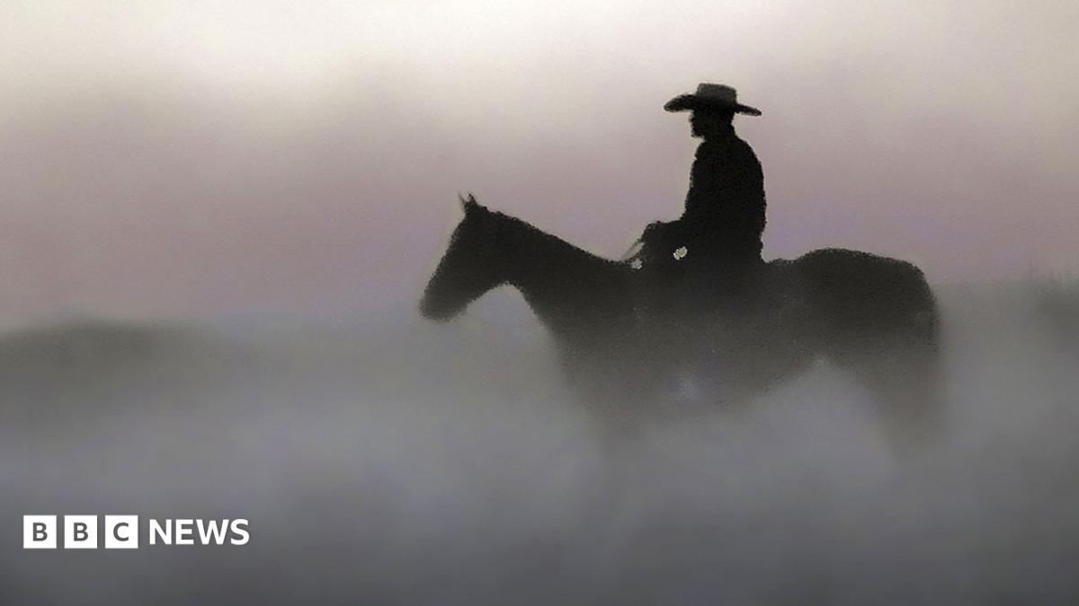 A new threat to the American cowboy? - BBC News