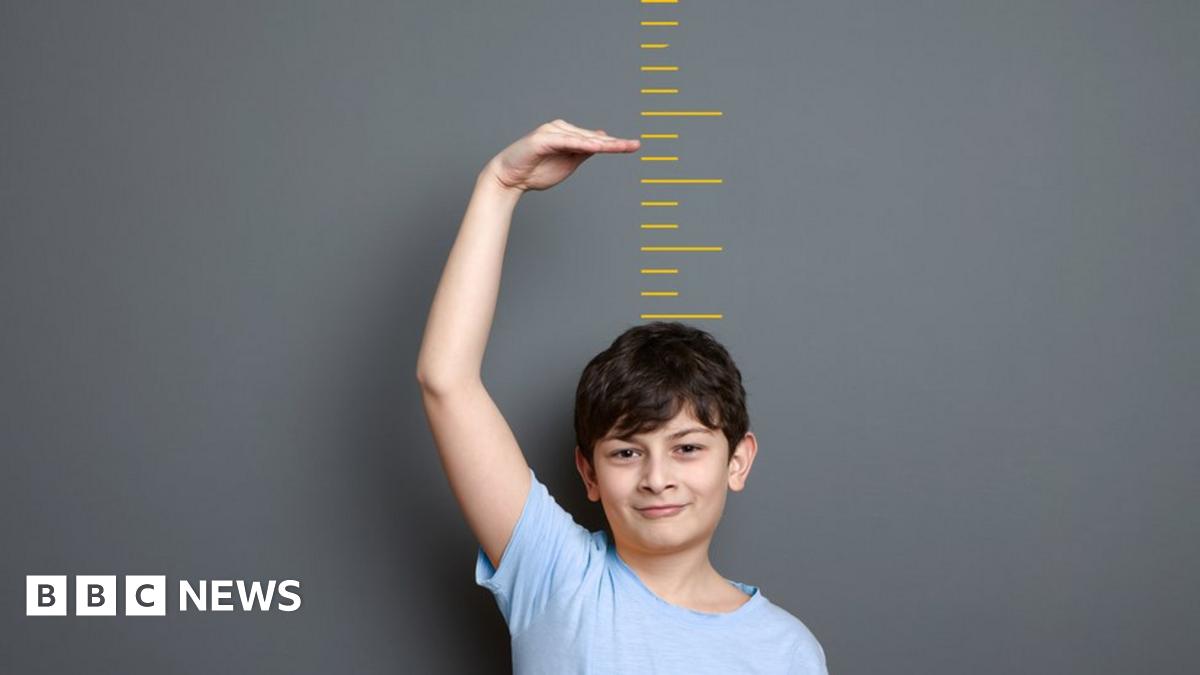 The brain sensor discovery behind humans getting taller - BBC News