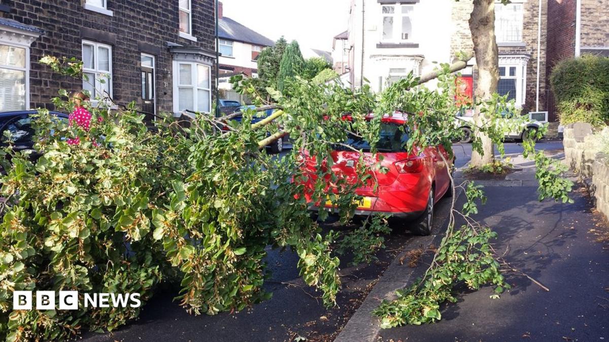 Storm Aileen: Winds bring travel disruption - BBC News