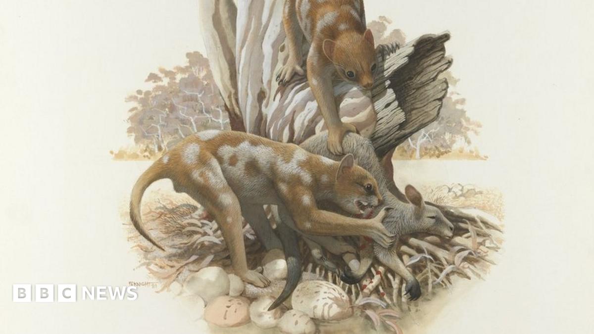 Fearsome Australian 'lion' could climb trees, study says - BBC News
