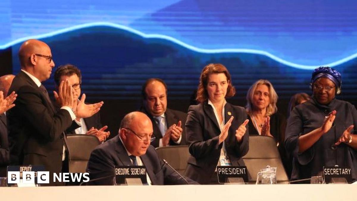 As it happened: COP27: Historic climate change deal struck to help ...