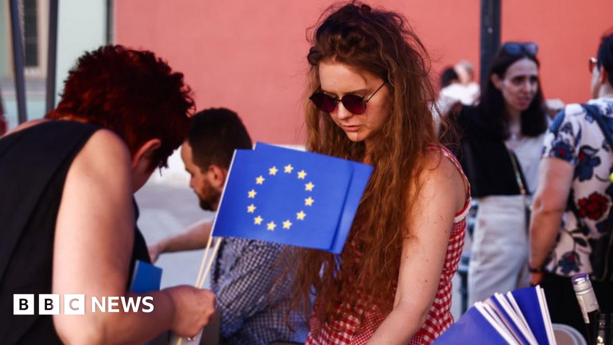 European elections: What you need to know about the vote - BBC News