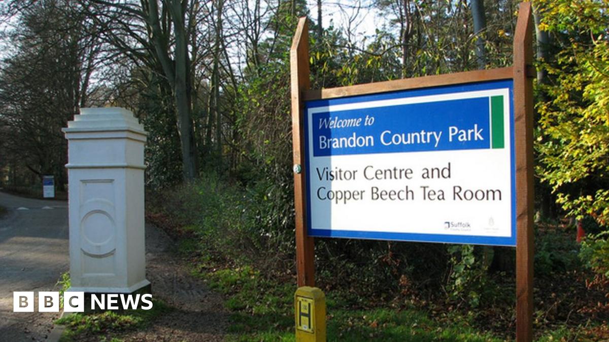 Brandon death: Andrius Vengalis charged with the murder of Egle ...