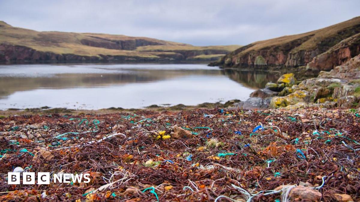 Polluters could face jail under MSP's ecocide plan - BBC News