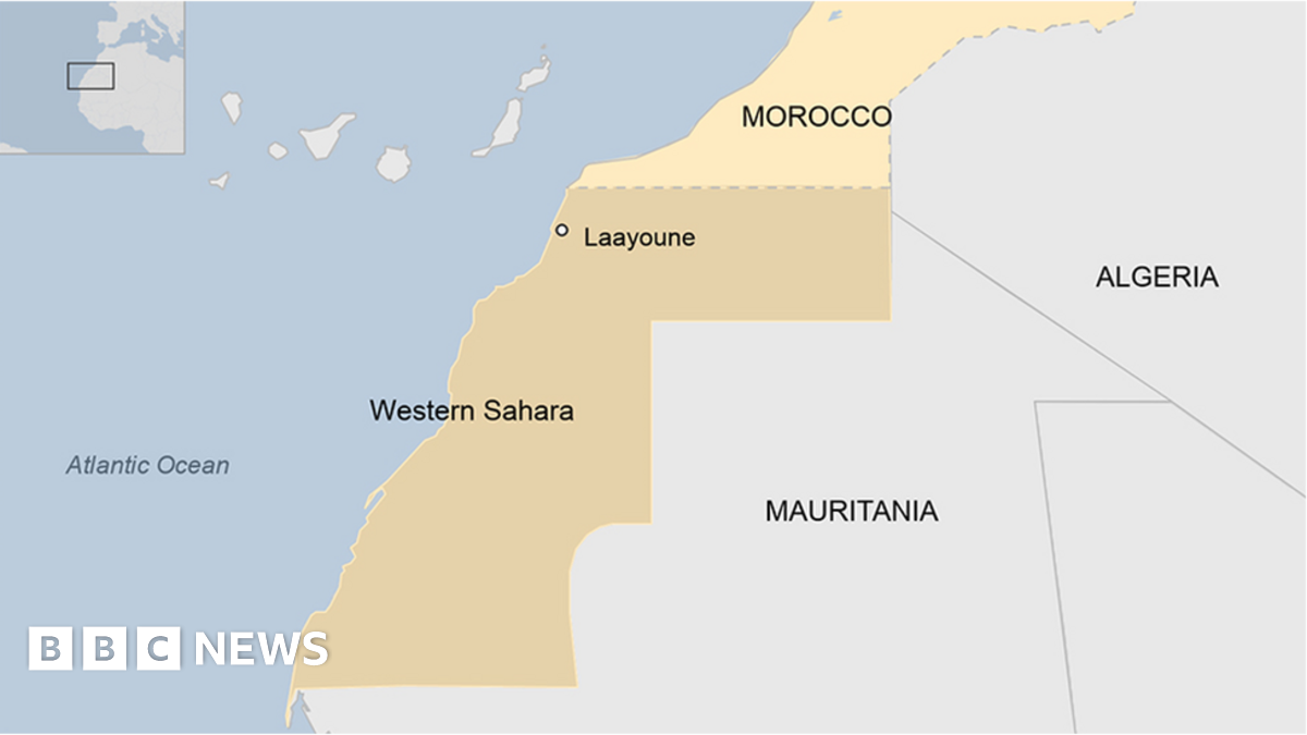 Western Sahara profile - BBC News