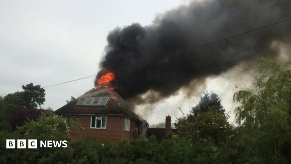 Kittens and snakes killed in Stickney house fire - BBC News