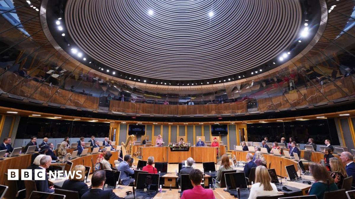 Senedd reform: Plans for more politicians 'could freeze out Lib Dems ...