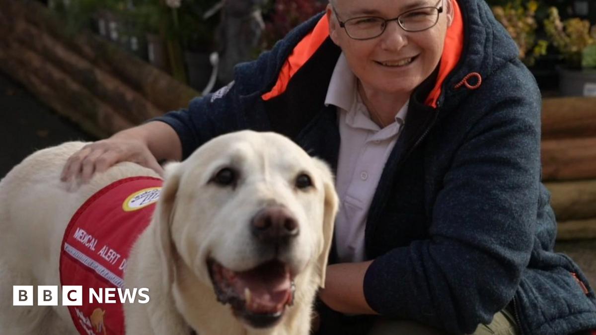 Medical assistance dogs 'not only life-changing but life-saving' - BBC News