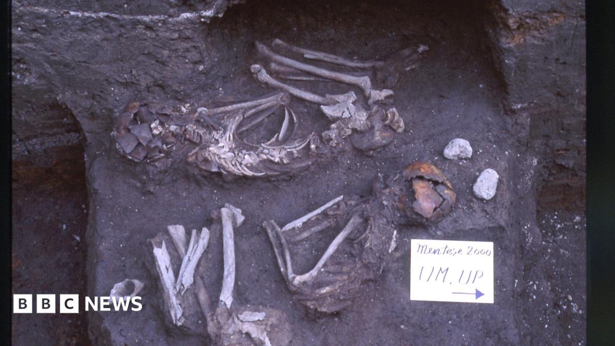 Genetic history of Europeans revealed - BBC News
