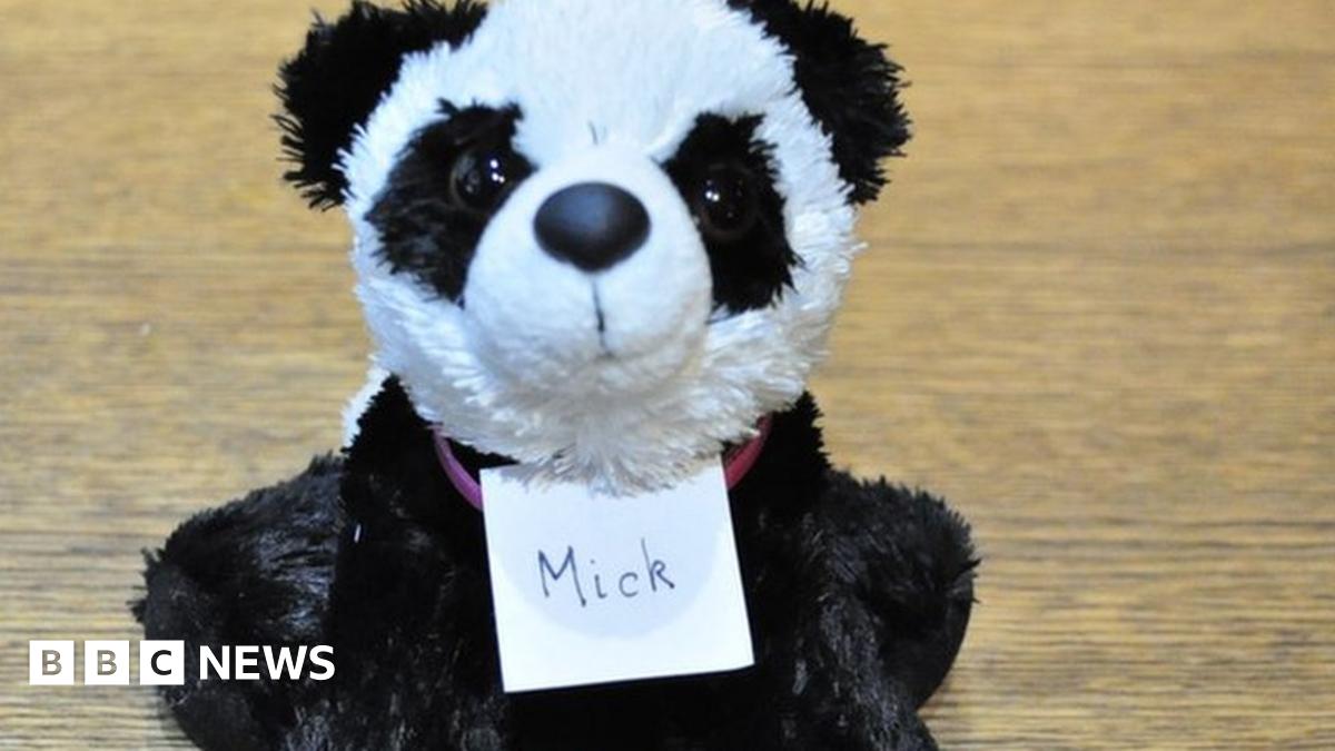 Turnip Prize: Spoof art award in 25th year open to entries - BBC News