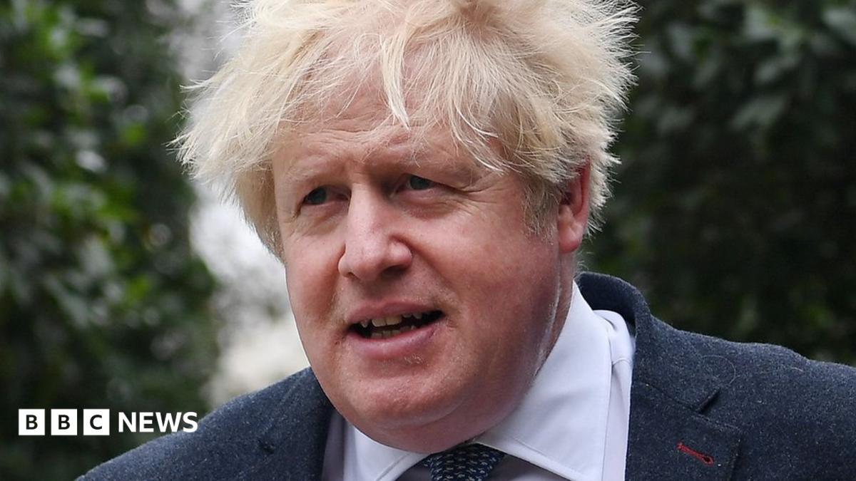 Partygate: MPs share evidence ahead of Boris Johnson TV grilling - BBC News