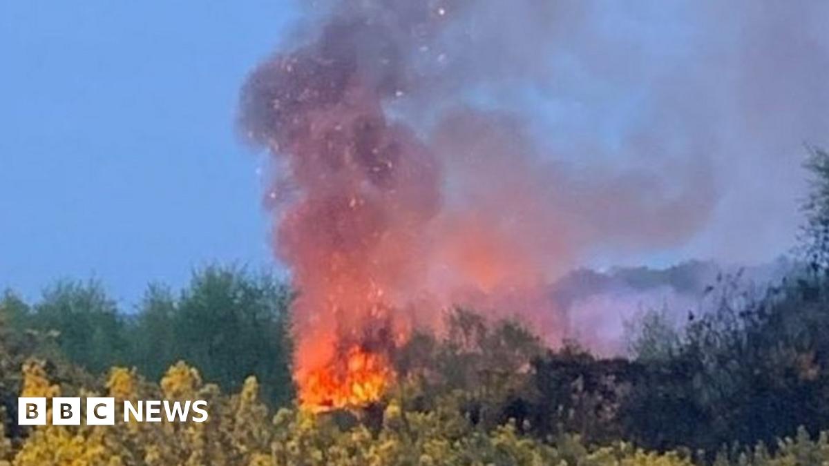 Seven fires break out in open in one day in Hampshire - BBC News