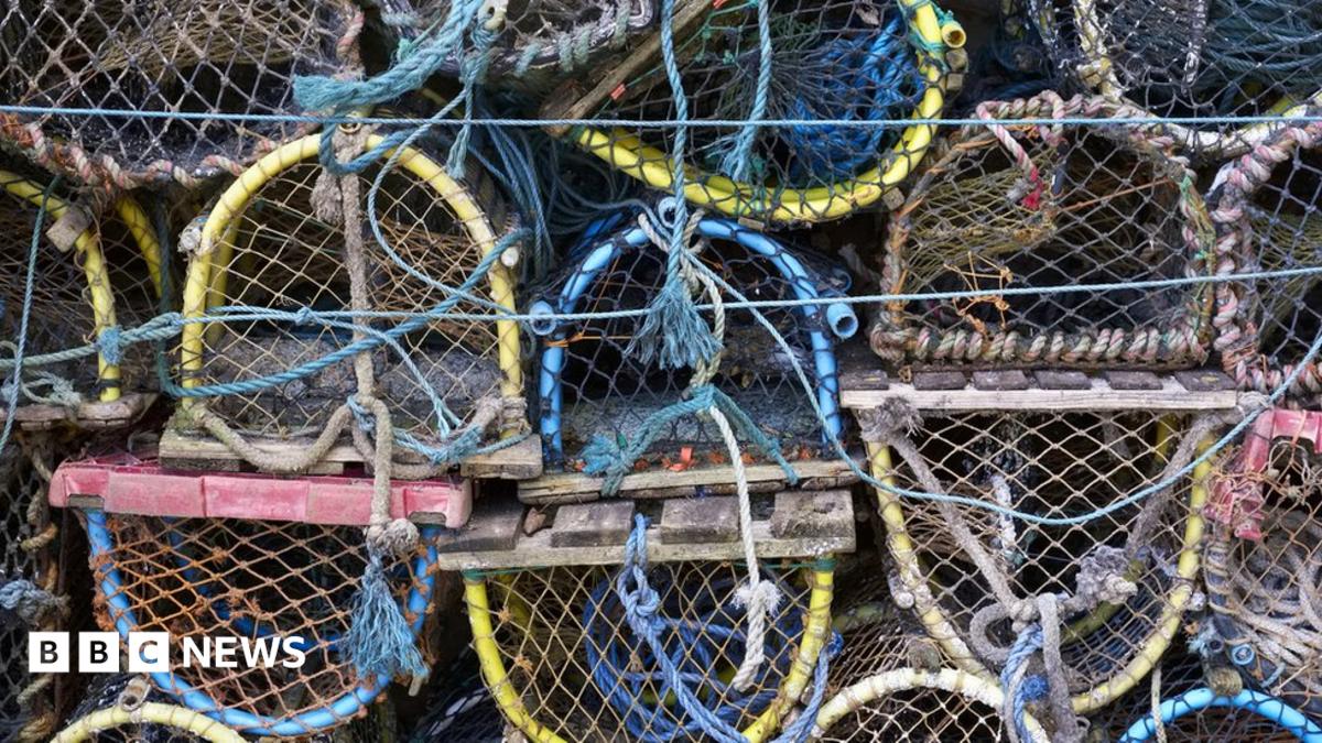 Cornwall crab pots 'deliberately' damaged by French trawlers - BBC News