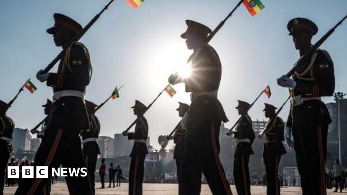 Africa news updates - BBC News