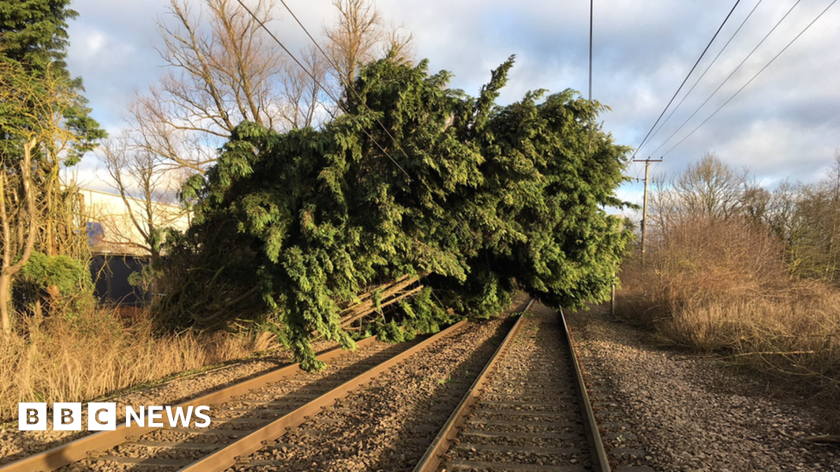 UK gale damage: Images of destruction after high winds - BBC News