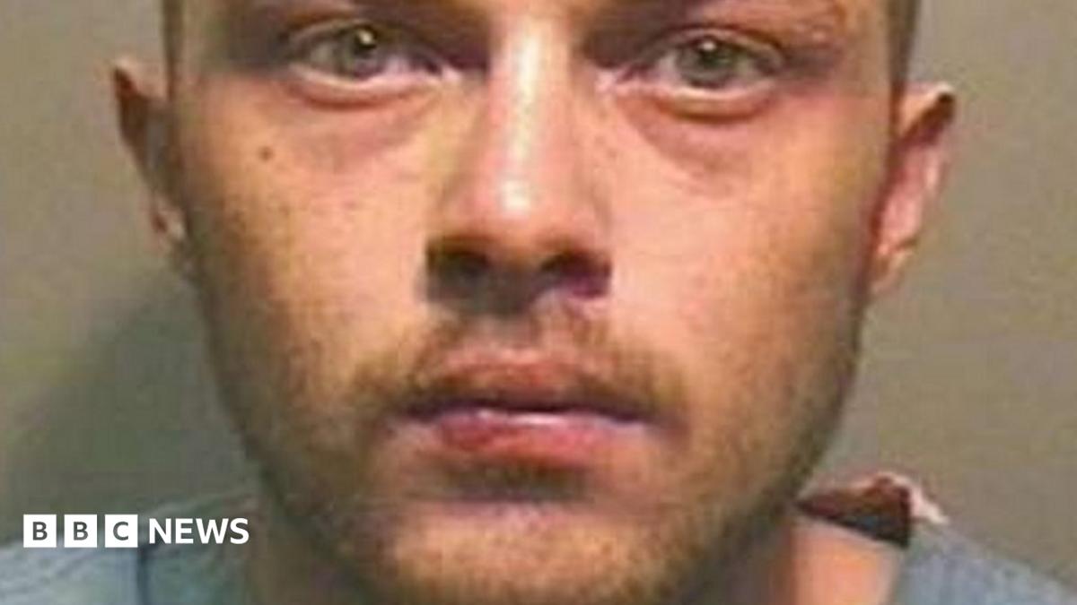 Luton hammer killer actions 'not preventable' - BBC News