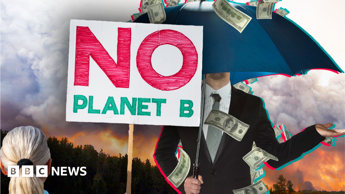 Jeff Bezos Earth Fund: How can $10bn fight climate change? - BBC News